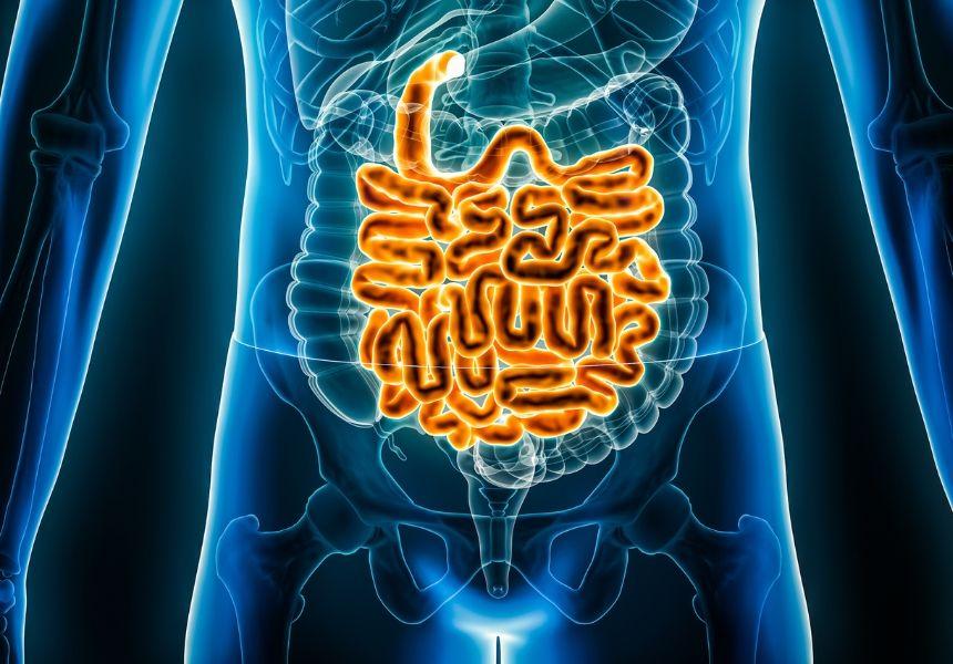 PEG-/Magensonde und Nasensonde: Welche Sonden gibt es?